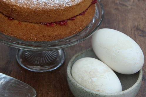 Victoria Sponge – how to make it the traditional way (and with a goose ...