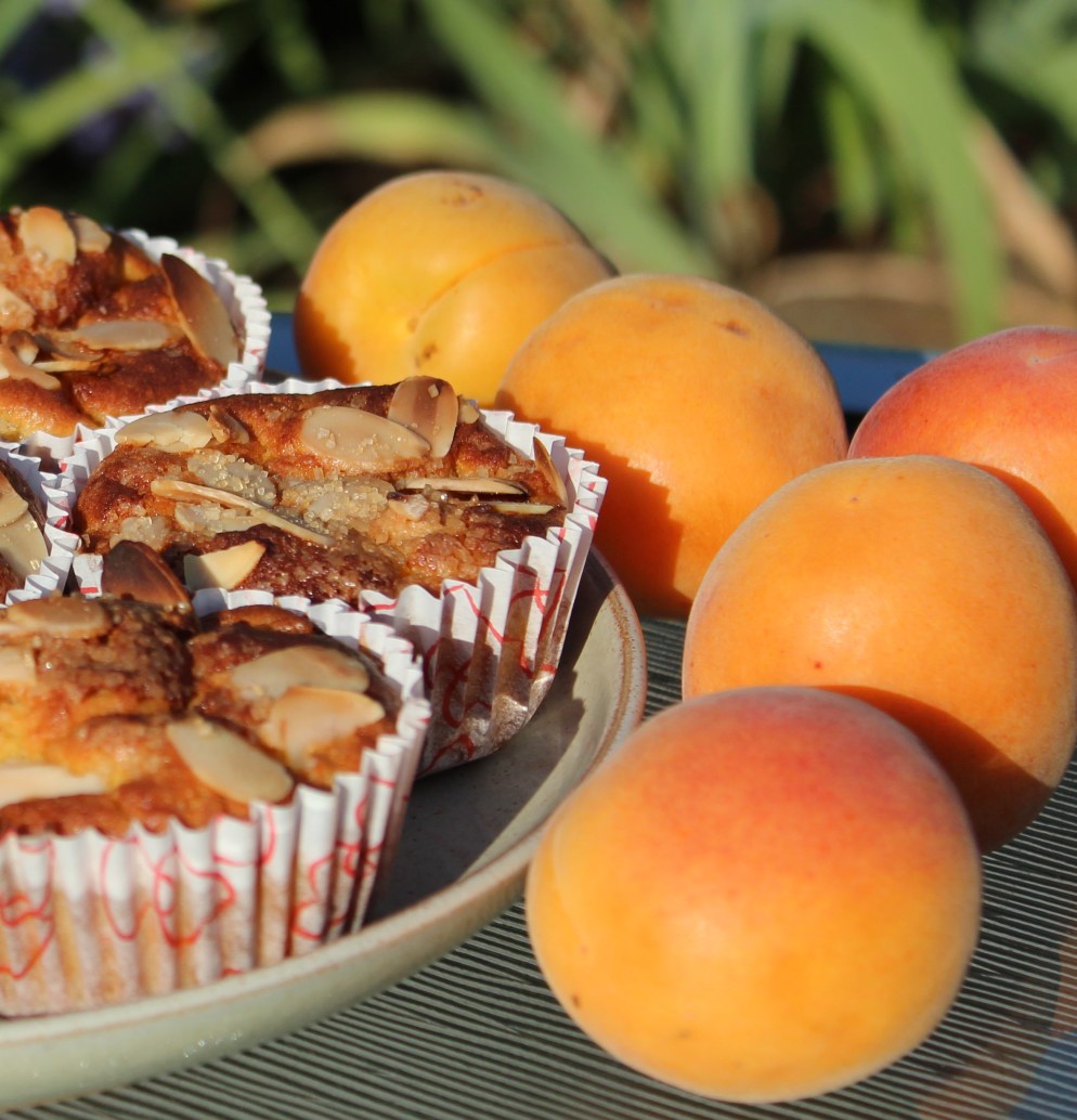 Fresh Apricot Muffins – lovinghomemade