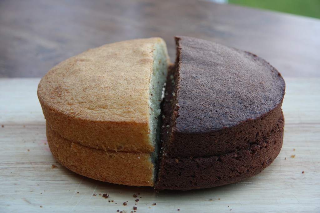 A Cake of Two Halves: Half Chocolate, Half Vanilla Birthday Cake ...